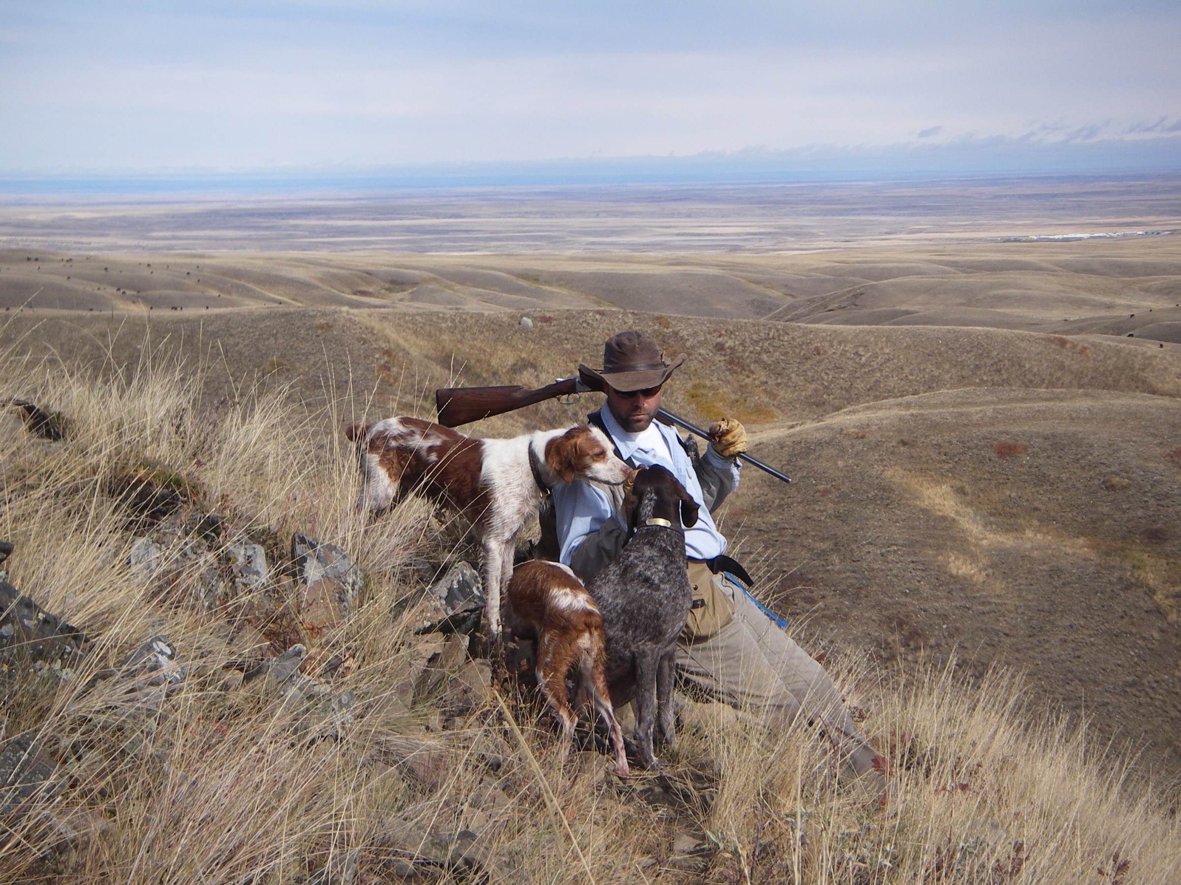 In defense of Alexander Supertramp – Mouthful of Feathers